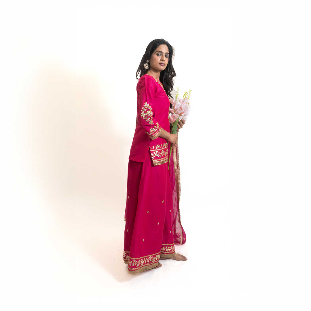 Pyaari Pink Sharara Suit – Sharmeeli
